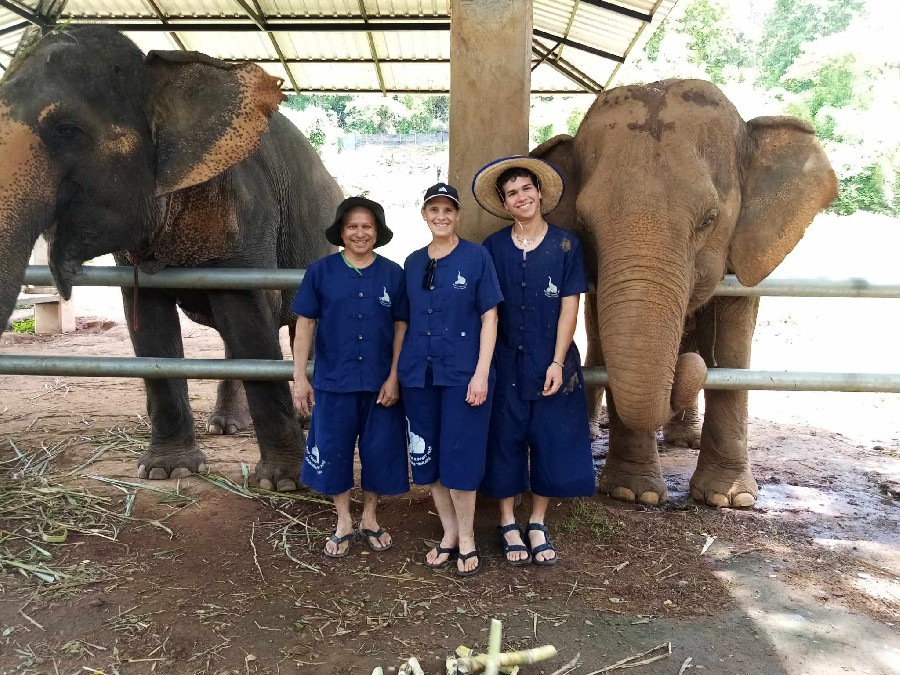 Elephant Sanctuary Park in Chiang Mai (Thailand).